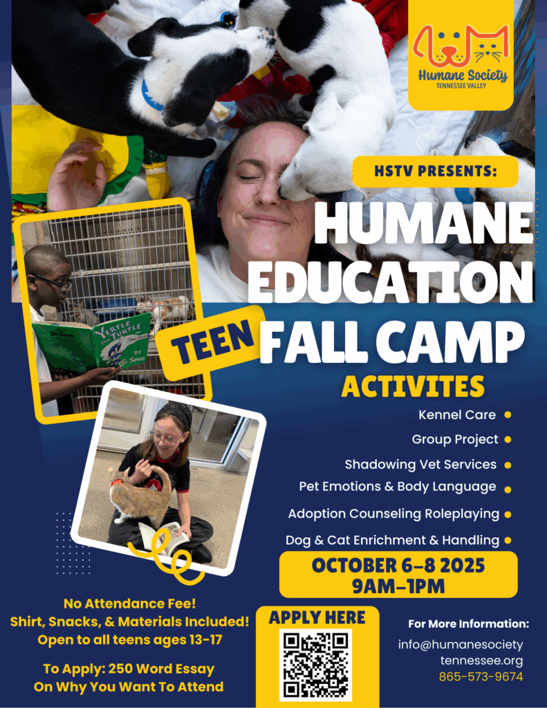 Teen Humane Education Fall Camp: Apply Today! – Humane Society of ...